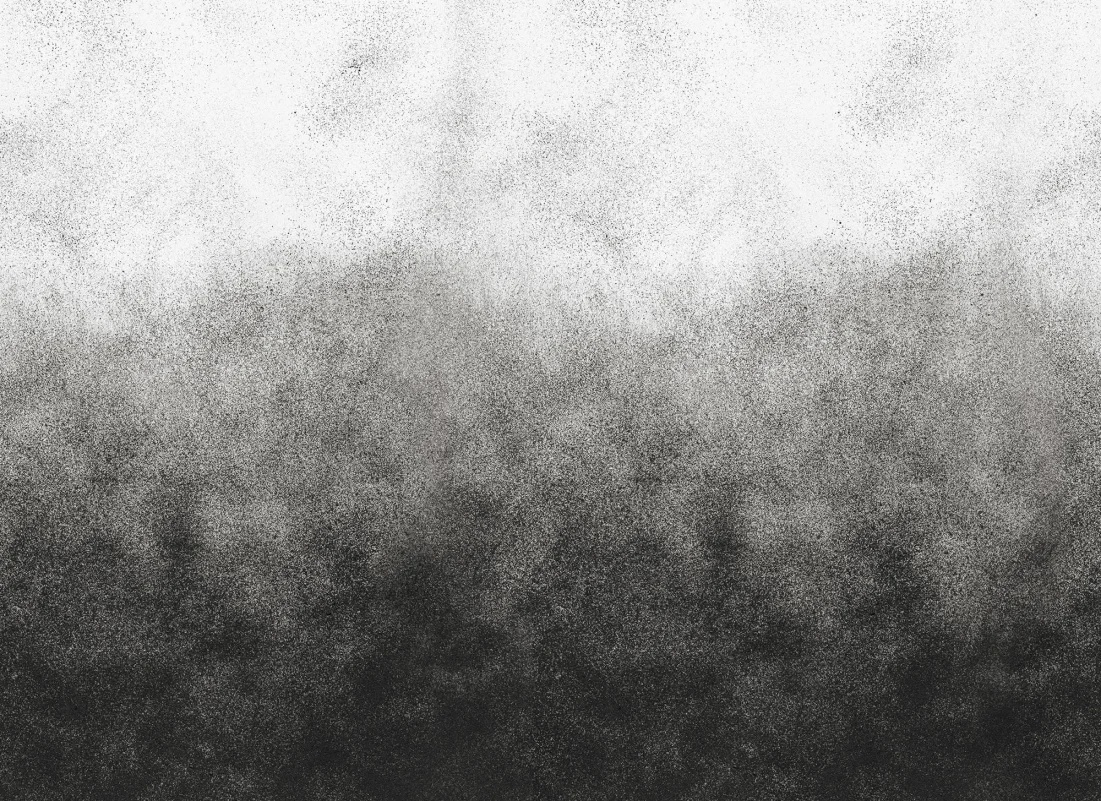 Tapet gri grafit din hartie Ash Gradient Rebel Walls | The Home.ro